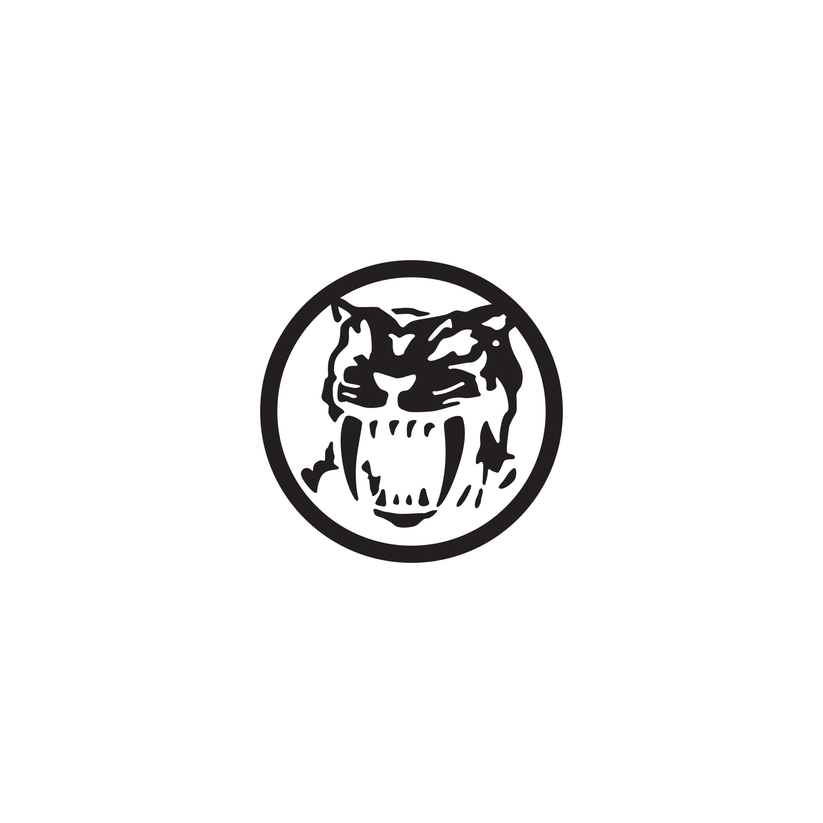Mighty Morphin Power Rangers Yellow Ranger Saber-Toothed Tiger Dinozor ...